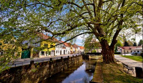 Sljeme - Zagreb, sljeme - LiveCamCroatia, Istraži Hrvatsku